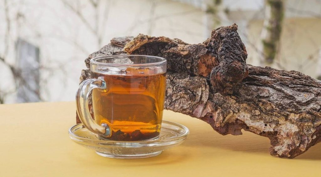 The Remarkable Benefits of Chaga Mushroom: Nature’s Superfood – FoodFiles